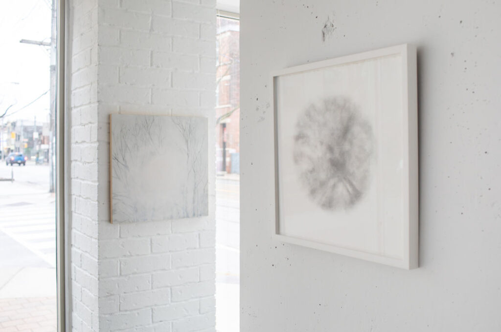 the space between, 2024 - Tania Love Artist